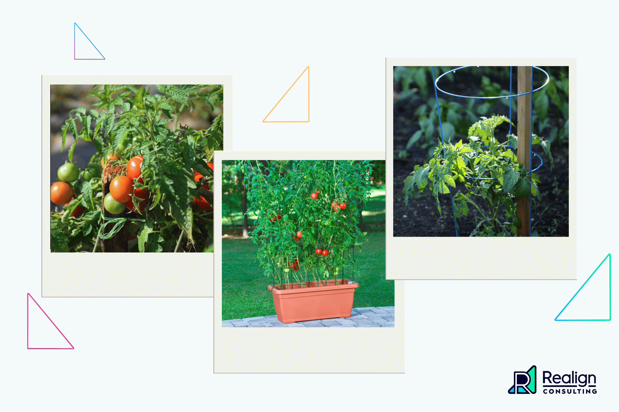 5 Types of Small Business Owners: Discover Your Entrepreneurial Identity